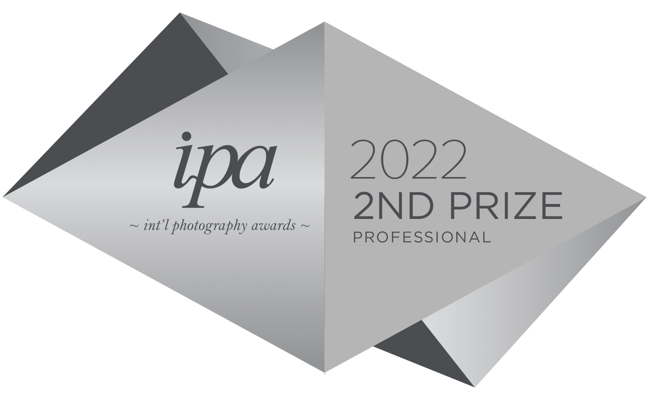 The Animals Are Leaving Us wins IPA award – Lantern